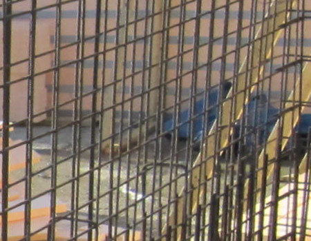 steel reinforcement etc.